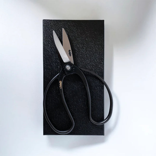 hidehisa indoor plant shears | large – kettu store